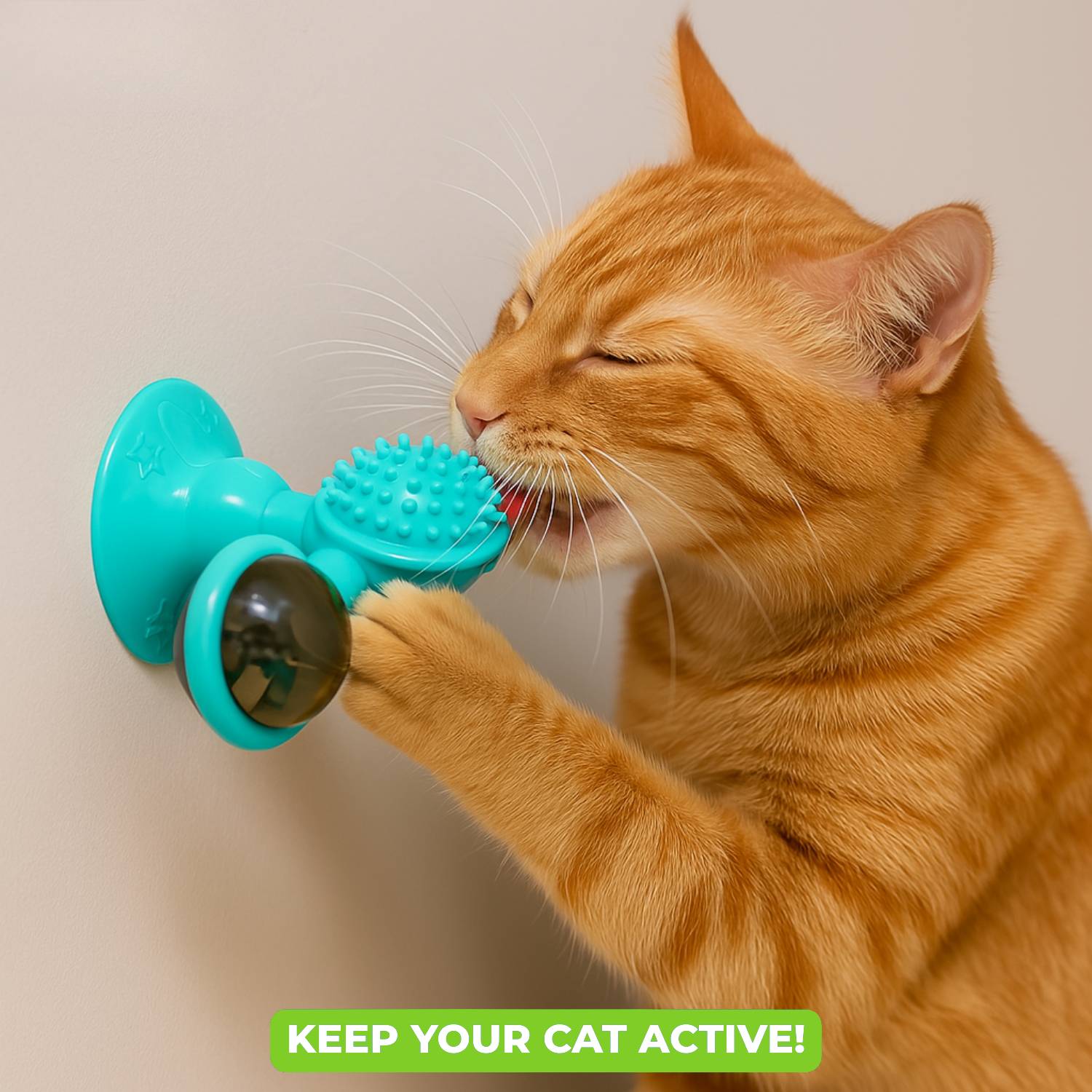 Catnip Toy for Cats and Kittens | Spinning Cat Toy | WhirlCat – Leafuni USA